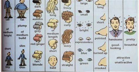 Physical Appearance Descriptions