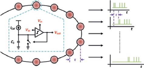 Dynamic Delayed Feedback Loop Download Scientific Diagram