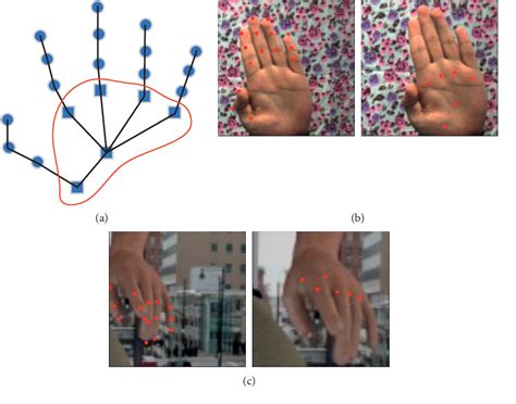 Figure 2 From Cascaded Hierarchical Cnn For Rgb Based 3d Hand Pose Estimation Semantic Scholar