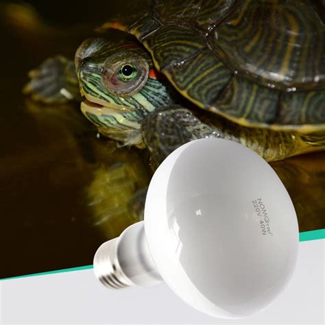 220V UVA UVB Reptile Lamp Bulb Turtle Basking UV L Grandado