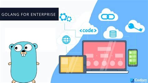 Codism Llc On Linkedin Golang Golangdevelopment