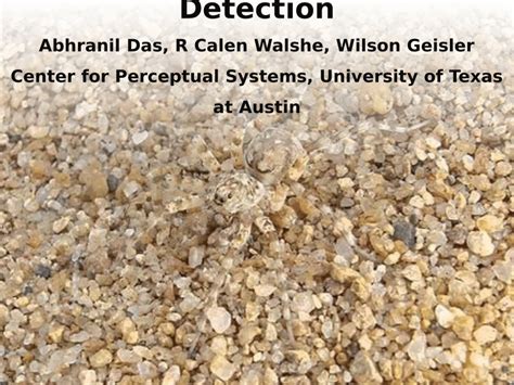 Pdf Understanding Camouflage Detection