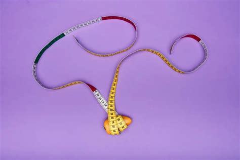 How Big Is C Cup Size