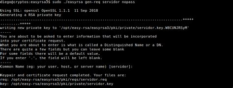 Openvpn Easyrsa Montando La Vpn Junco Tic