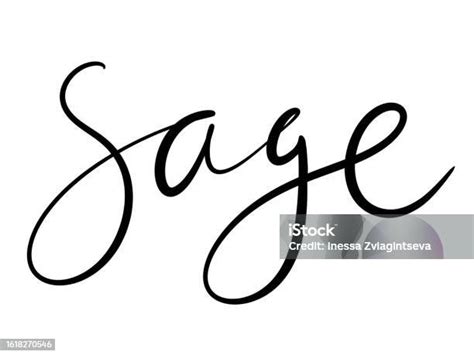 디자인 요소 글자 서예 편지 검정 색상 브러시 손 스타일 기호 라벨 인쇄 포장 주방 메뉴 스티커 향신료 단어 세이지 단순함에 대한 스톡 벡터 아트 및 기타 이미지 Istock