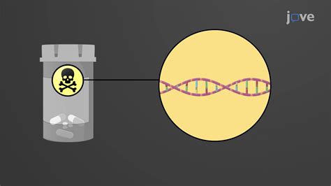 Video Mutagenicity And Carcinogenicity