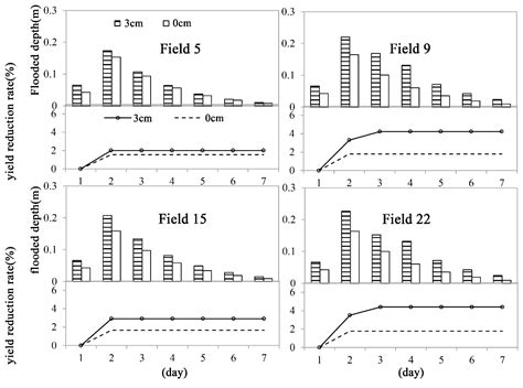 Flood Simulation And Flood Risk Reduction Strategy In Irrigated Areas