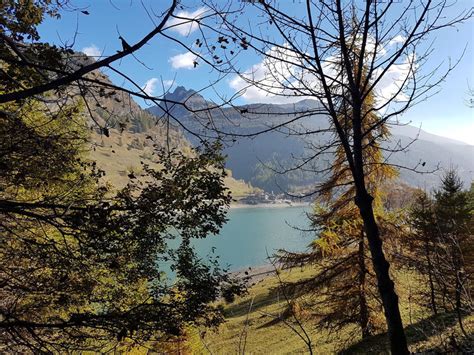 Shyam Sunder K Posted On Linkedin