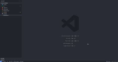 Console Prompt Is Not Displayed After Opening The Terminal · Issue