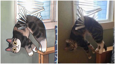 Амьтдын хөгжилтэй мөчүүдийг иллюстрэйшн болгосон 21 хайр татам зураг