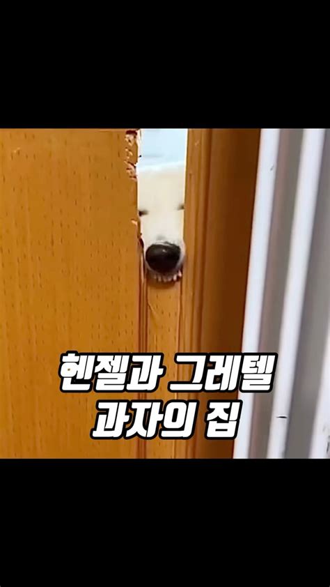 ㅋㅎ유머 이렇게 긁는구나 소라게 엉덩이 릴스 유머 Reels Humor Instagram