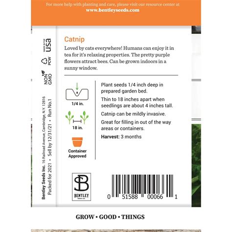 Catnip Seed Packet Nepeta Cataria Flowers And Gray