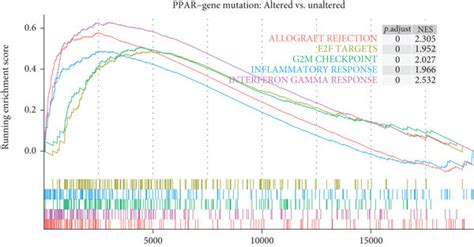 Gsea Analysis Between Ppar Related Gene Altered Patients And Unaltered Download Scientific