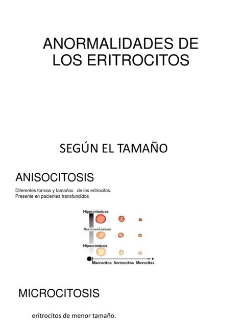 Anormalidades De Los Eritrocitos Pdf Glóbulo Rojo Anemia