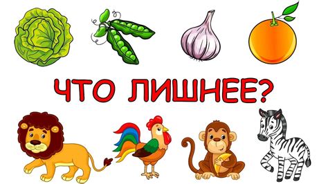 Развивающее видео для детей Найди лишнее Картинки для малышей