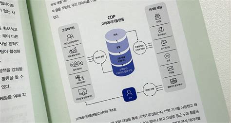 퍼포먼스 마케팅과 Crm 마케팅의 관계 큐레터 Qletter