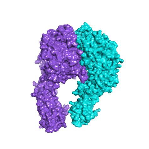 Lassogen Target And Pipline