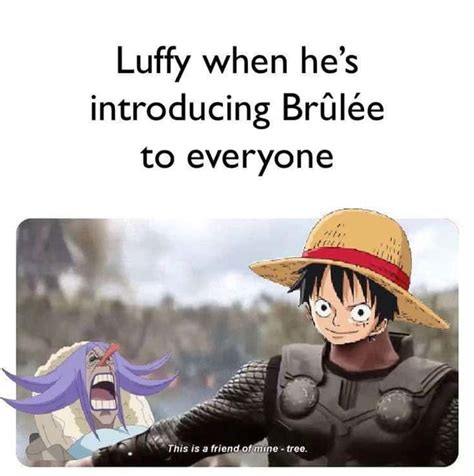 One Piece Memes In One Piece Crew I Understood That Reference One Piece Series