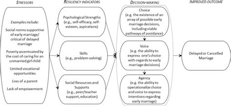 Theoretical Framework To Explore Psychological Strengths And Resiliency Download Scientific