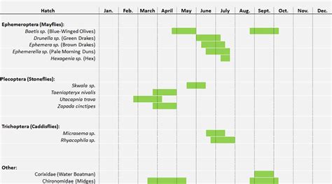 Bug Hatch Chart A Visual Reference Of Charts Chart Master