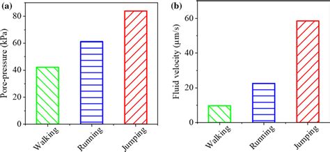 Peak Values Of A Pore Pressure And B Fluid Velocity Induced In Cortical Download Scientific