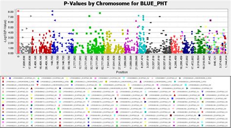 Manhattan plots of log ⁴ versus chromosomal position of SNP markers Download Scientific