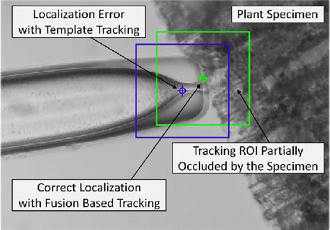 Superimposed Microscope Images During Visual Tracking Download Scientific Diagram