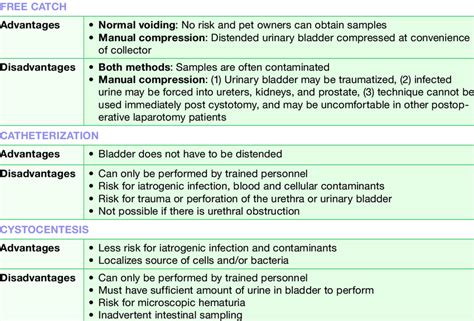 Advantages And Disadvantages Of Sampling Methods Download Table