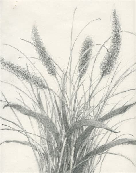 Grass With Pencil Drawing At Getdrawings Free Download