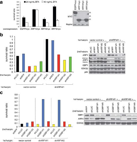 Figure 4 From Mit Open Access Semantic Scholar