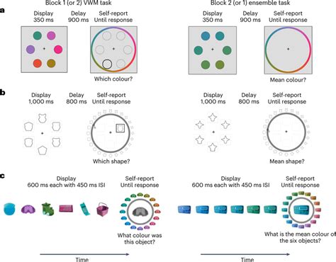 Colour Shape And Sequential Memory Tasks Ab Example Trial Sequences