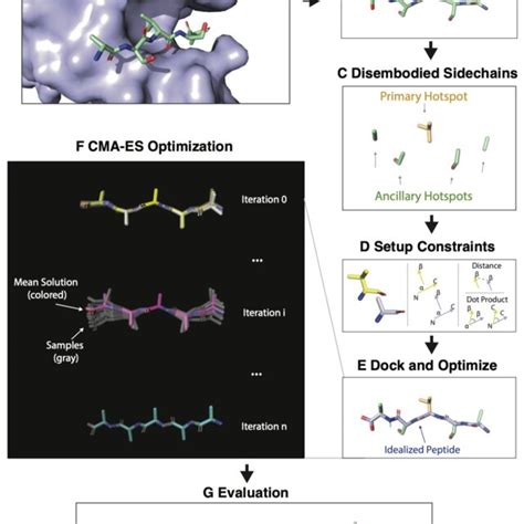 Cma Es Workflow Overview The Figure Displays A General Overview Of The Download Scientific