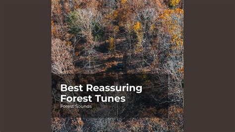 Monotonous Stream Youtube