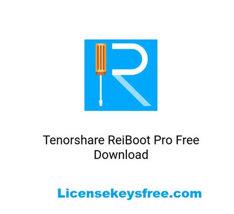 Tenorshare Reiboot 6 9 3 Activation Key Keracustomer