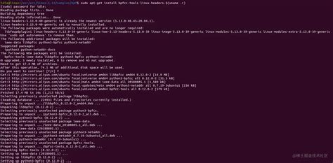 4 Ubuntu20 04下bcc安装和简单示例bcc 是一个 Python 库，其中有很大一部分的实现是基于 C 和 掘金