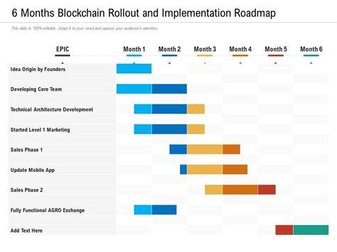 Months Blockchain Rollout And Implementation Roadmap Presentation Graphics Presentation