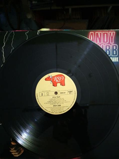 Lp Andy Gibb After Dark Hobbies And Toys Music And Media Cds And Dvds On Carousell