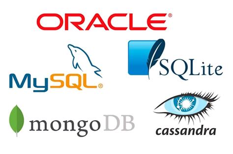 Model Develop Fix Database Like Sql Server Mysql Mariadb Mongodb