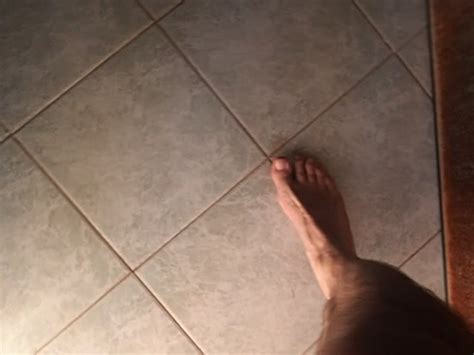 The First Ant Of New Year