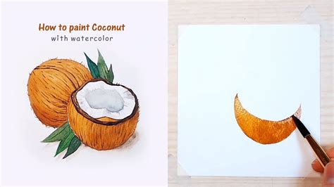수채화기초 코코넛 그리기수채화 그림그리는 법 Level2 Youtube