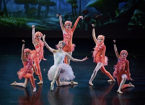 Alice In Wonderland Convergence Ballet