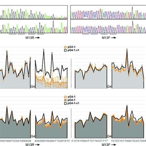 A Second G4 Sequence Can Lead To Nascent Strand Mediated Attenuation Of