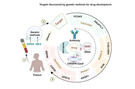 Drug Development Advances In Beneficial Loss Of Function Mutation Targets Validated By Human