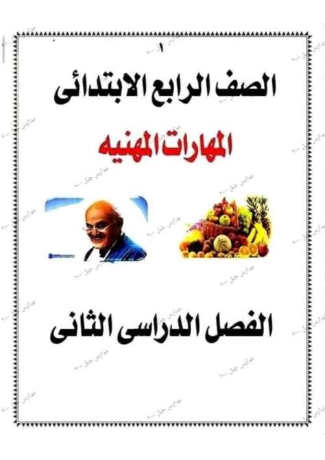 مراجعة الجيل مهارات مهنية الصف الرابع الابتدائى الترم الثانى 2024 Pdf