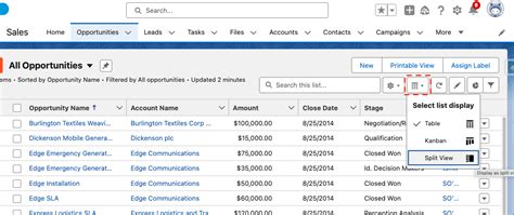 Salesforce List Views Vs Reports Which Is Best To Use Salesforce Ben