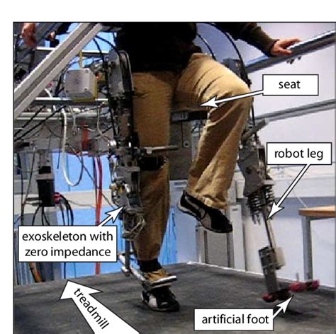 Figure 2 From Complementary Limb Motion Estimation Based On Interjoint