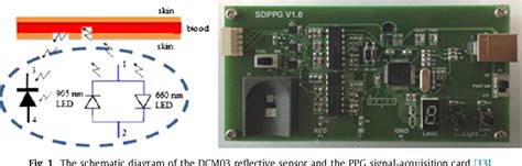 Figure 1 From A Novel Feature Ranking Algorithm For Biometric Recognition With Ppg Signals