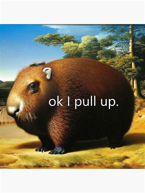 Capybara Ok I Pull Up Sticker For Sale By Mr Noob Redbubble