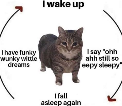 I Wake Up I Say Ohh Ahh Still So Eepy Sleepy I Wake Up There Is