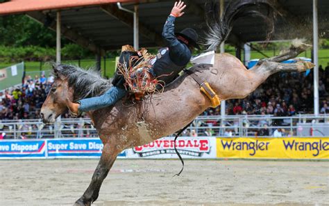 2025 Cloverdale Rodeo Live Streams And Replays Cloverdale Rodeo And